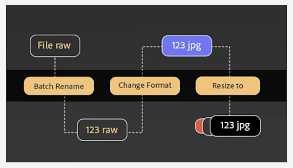 Adobe Bridge Reviews, Demo & Pricing - 2022