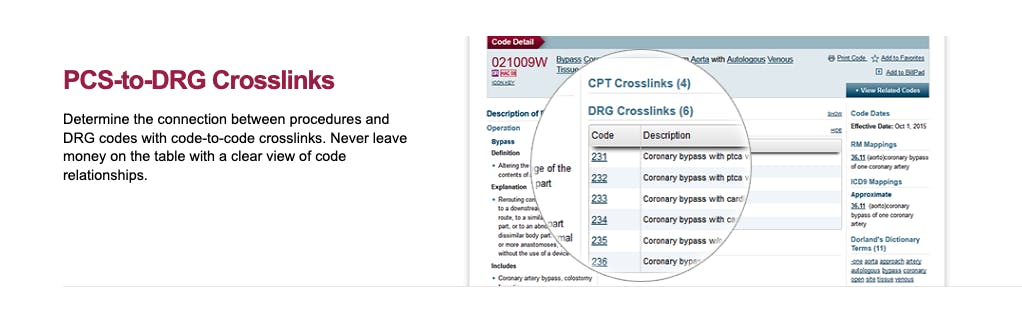 SelectCoder Pricing, Alternatives & More 2023 | Capterra