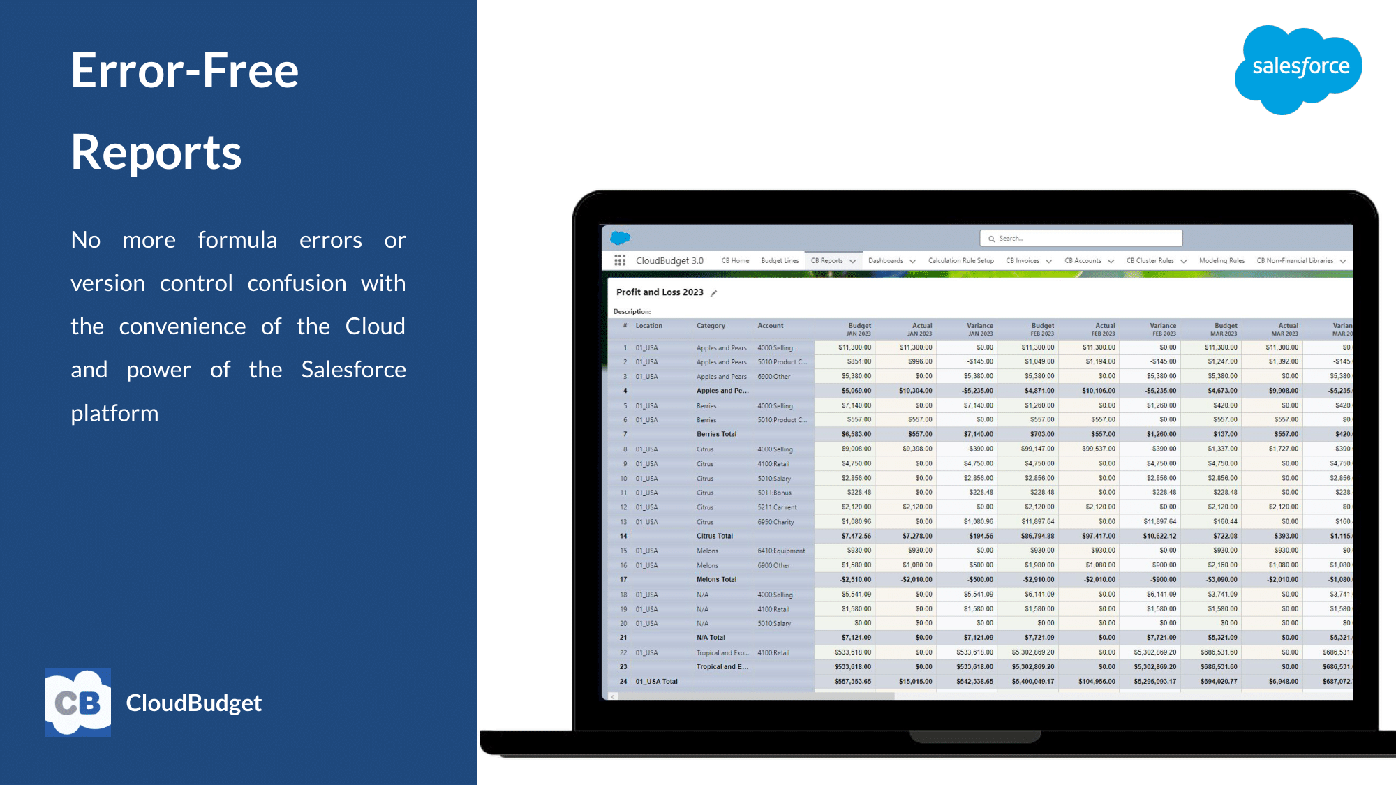 CloudBudget Software Reviews, Demo & Pricing - 2024