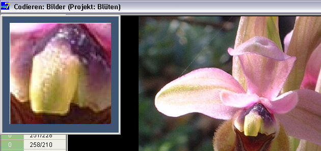 AQUAD 7 Cost & Reviews - Capterra Australia 2024