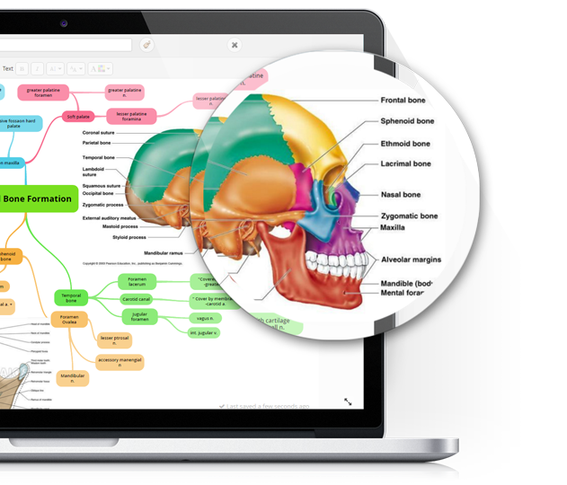 GoConqr: precios, funciones y opiniones | GetApp España 2025
