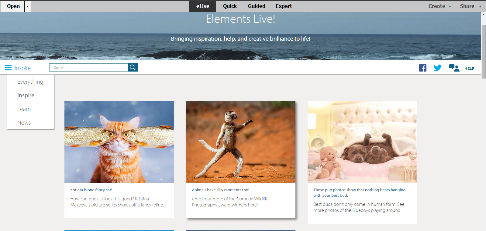 Adobe Photoshop Elements Software - 2022 Reviews, Pricing & Demo
