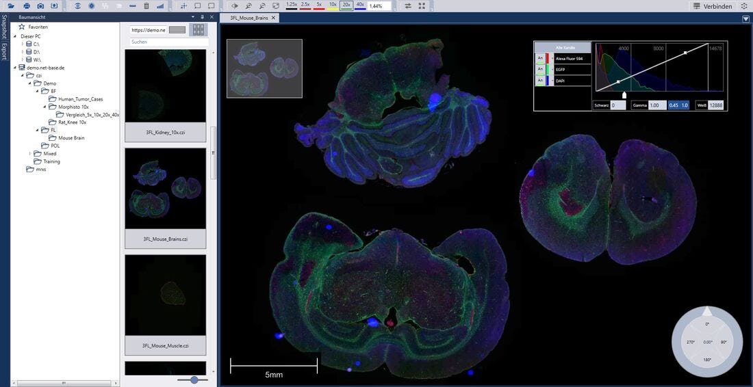 netScope Server Reviews, Cost & Features | GetApp Australia 2024