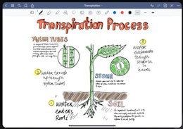 GoodNotes Software Reviews Demo Pricing 2023