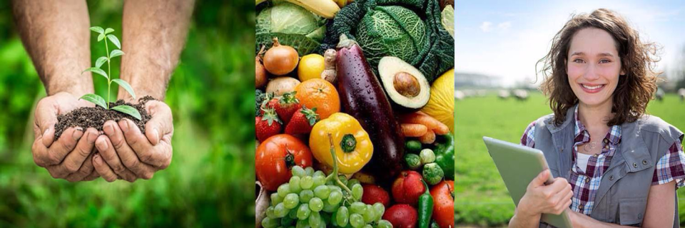 Smart! Fertilizer Management Cost & Reviews - Capterra Australia 2025