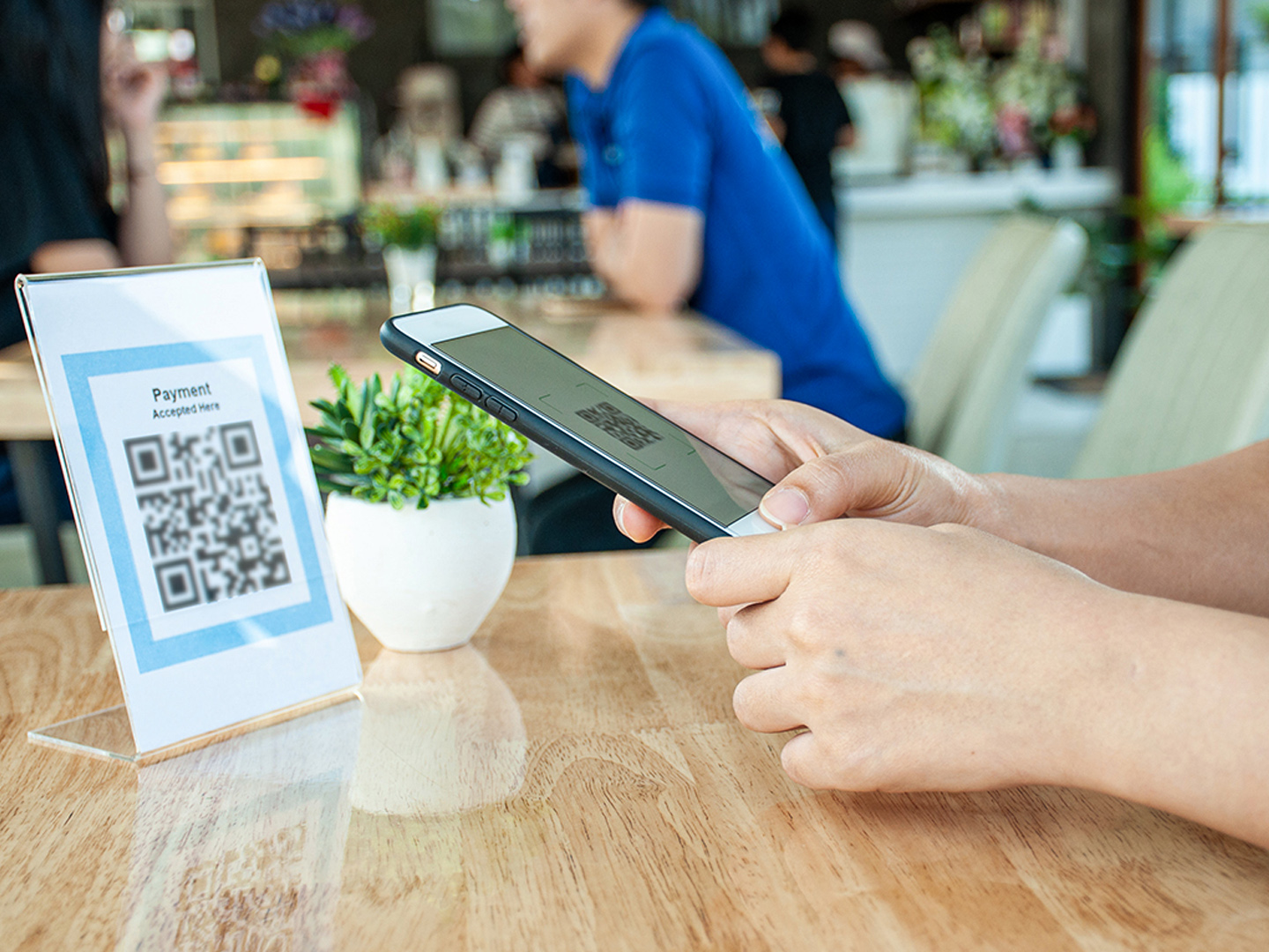 Elementary POS Software Reviews, Demo & Pricing - 2024