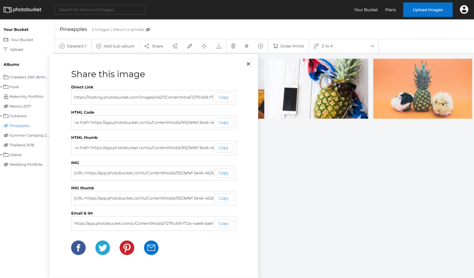 Photobucket Pricing, Alternatives & More 2025 | Capterra