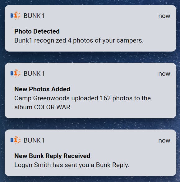 Bunk1 Pricing, Alternatives & More 2024 | Capterra