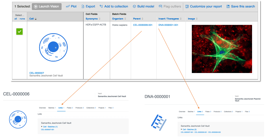 CDD Vault Pricing, Alternatives & More 2023 | Capterra