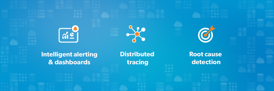 Plumbr Pricing, Alternatives & More 2025 | Capterra