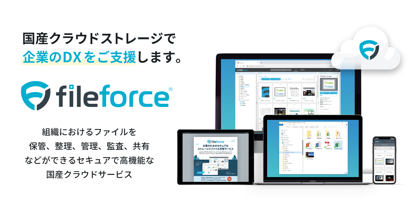 FileForce Pricing, Reviews & Features - Capterra Canada 2025