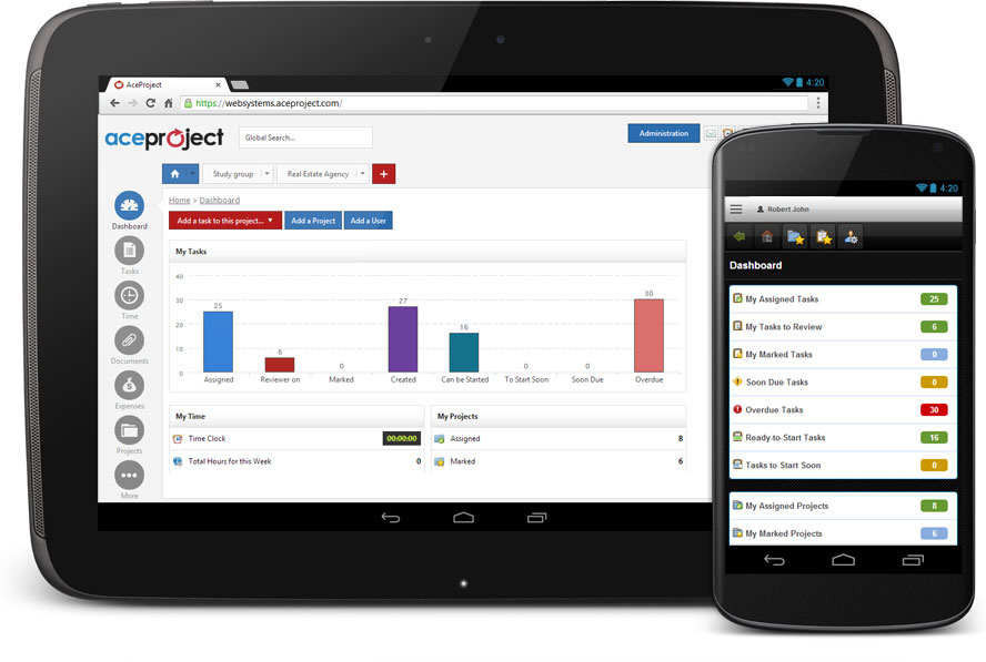 AceProject Software - 2022 Reviews, Pricing & Demo