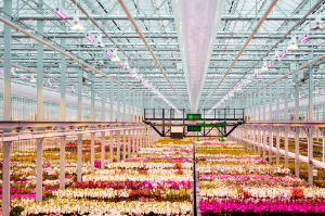 Agriware 365 Price, Features, Reviews & Ratings - Capterra India