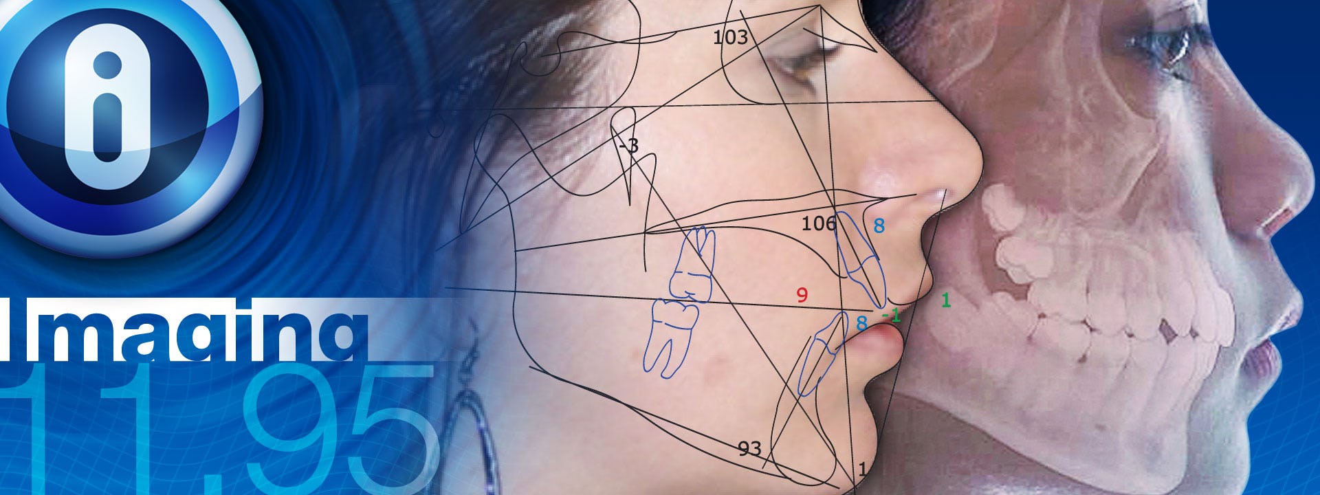 Dolphin Management Software - 2025 Reviews, Pricing & Demo