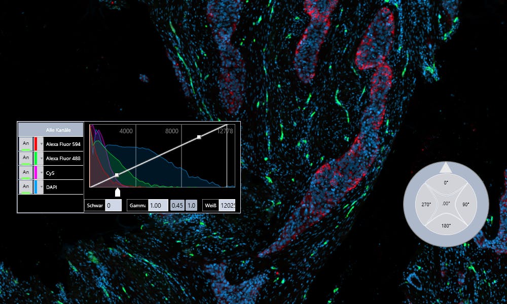 netScope Viewer Pricing, Alternatives & More 2023 | Capterra