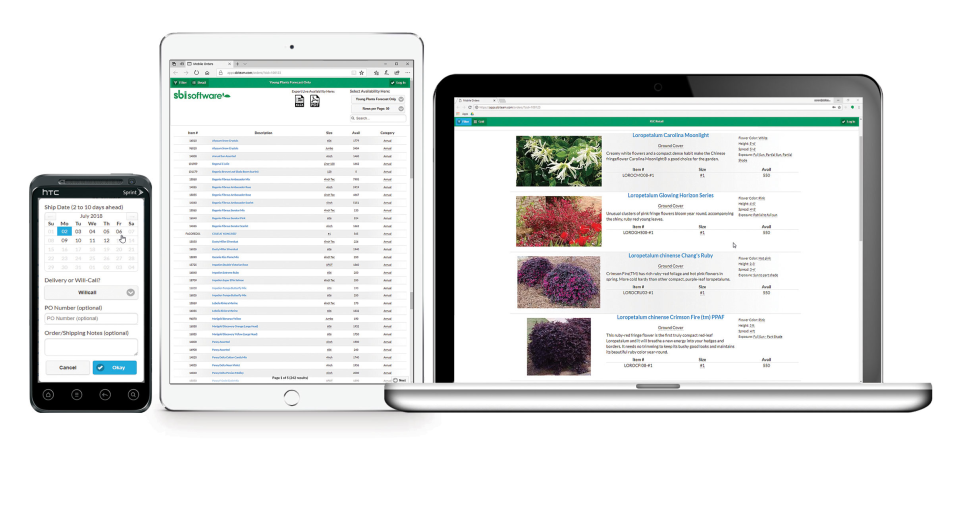SBI Software Pricing, Alternatives & More 2025 | Capterra