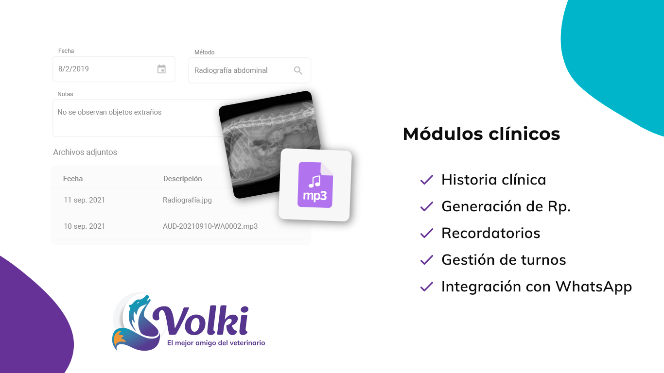 Volki Software - 2024 Reviews, Pricing & Demo