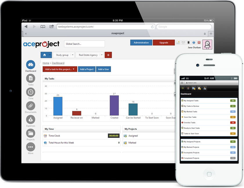 AceProject | Reviews, Pricing & Demos - SoftwareAdvice IE