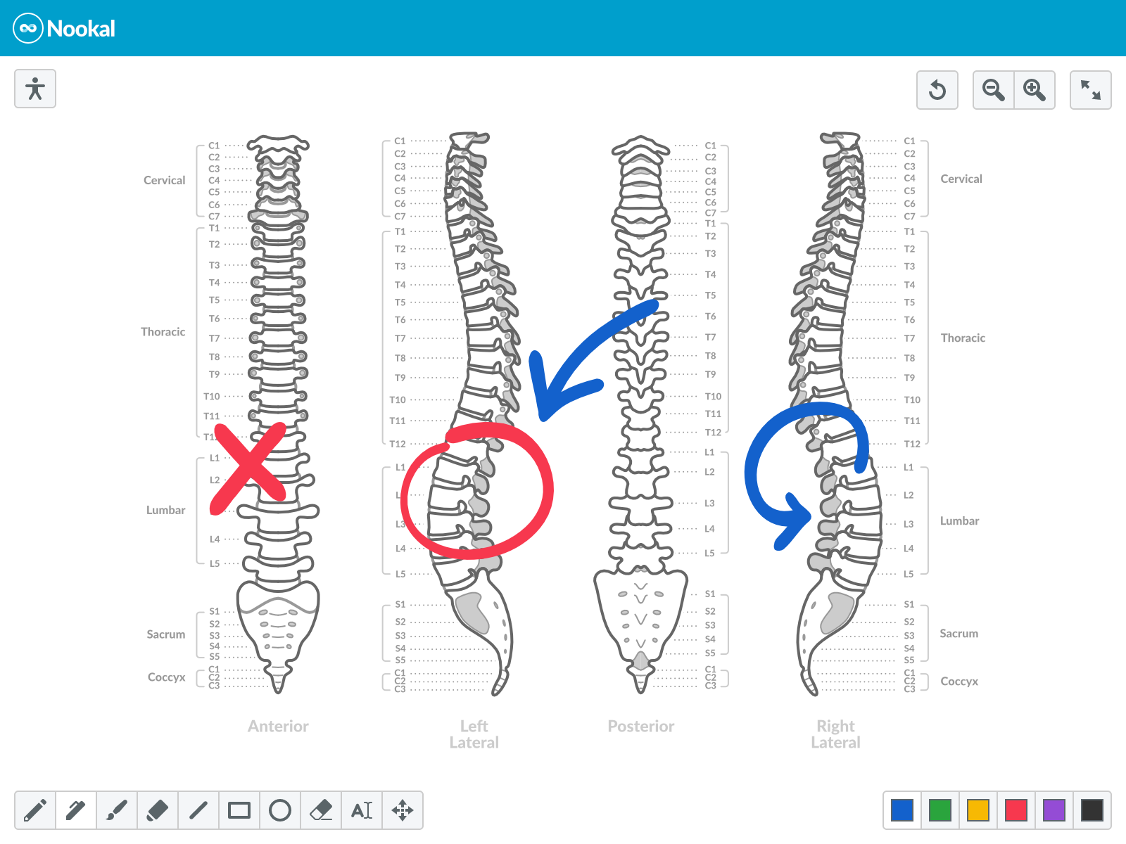 Nookal | Reviews, Pricing & Demos - SoftwareAdvice NZ