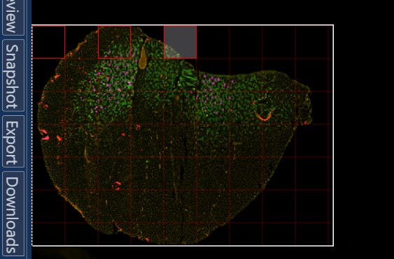 netScope Viewer Pricing, Alternatives & More 2023 | Capterra
