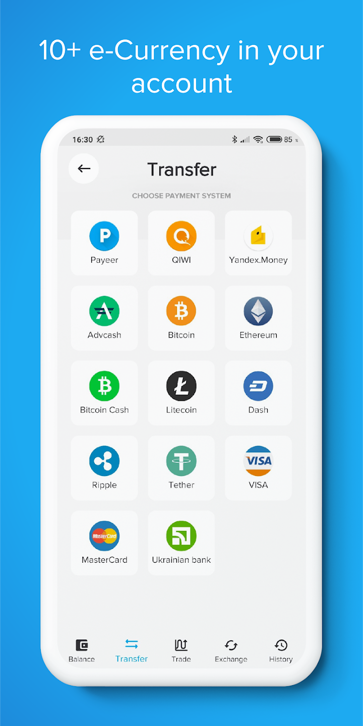 PAYEER Software Reviews, Demo & Pricing - 2025