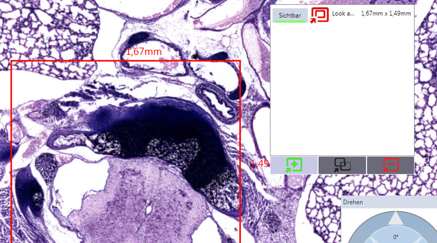 netScope Viewer Pricing, Alternatives & More 2025 | Capterra
