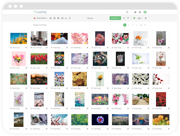 Loomly Reviews, Demo & Pricing - 2022