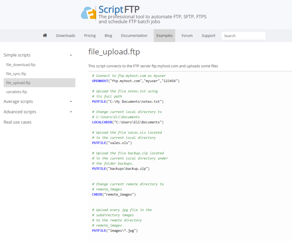 ScriptFTP Pricing, Alternatives & More 2025 | Capterra