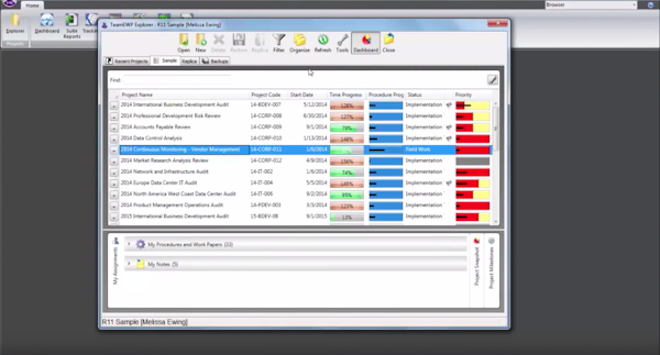 TeamMate+ Audit Reviews, Demo & Pricing - 2022
