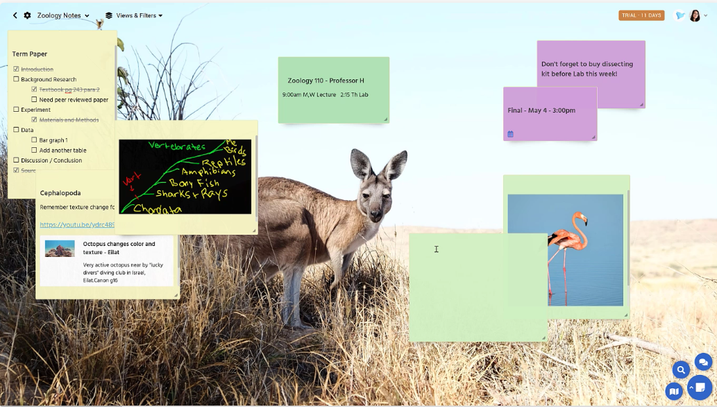 Stickies Cost & Reviews - Capterra Australia 2023