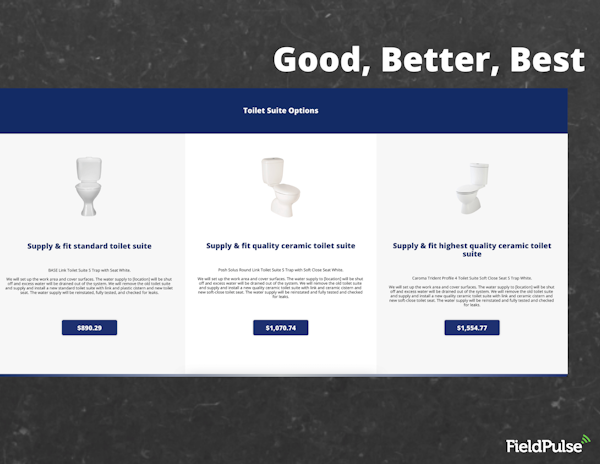 FieldPulse Reviews, Demo & Pricing - 2022