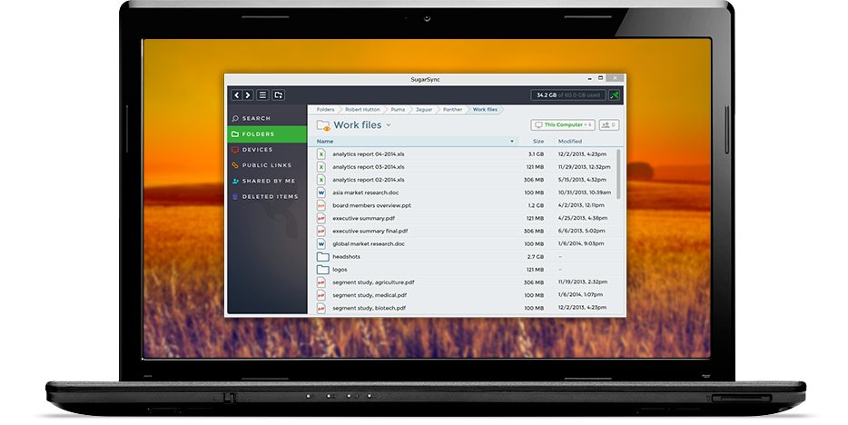 SugarSync Reviews, Cost & Features | GetApp Australia 2024