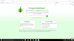 Brave vs Tor Browser - 2025 Comparison - Software Advice