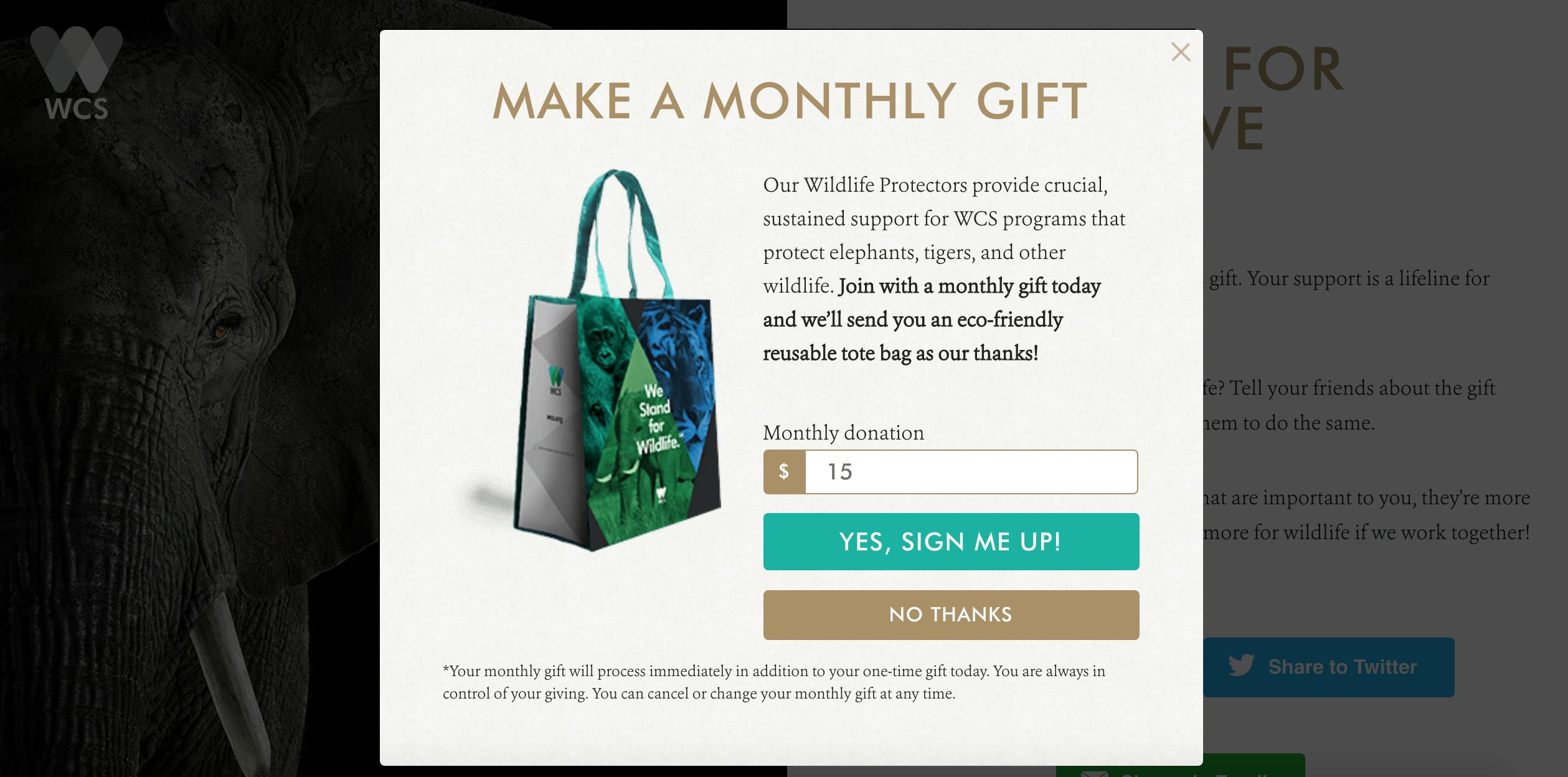 Springboard Pricing, Alternatives & More 2023 | Capterra