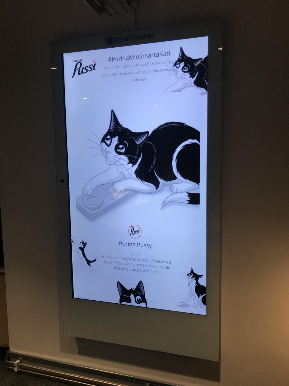 Sparkle - Opiniones, precios y características - Capterra España 2025