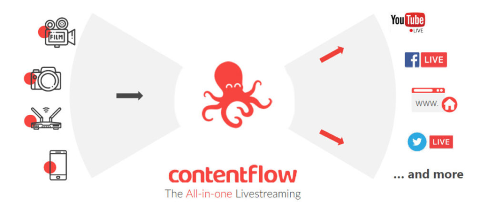 Contentflow - Opiniones, precios y características - Capterra España 2024