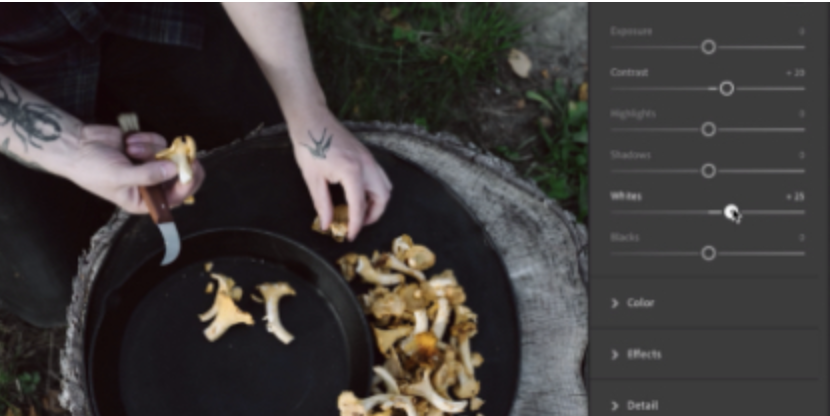 Adobe Lightroom Software - 2025 Reviews, Pricing & Demo