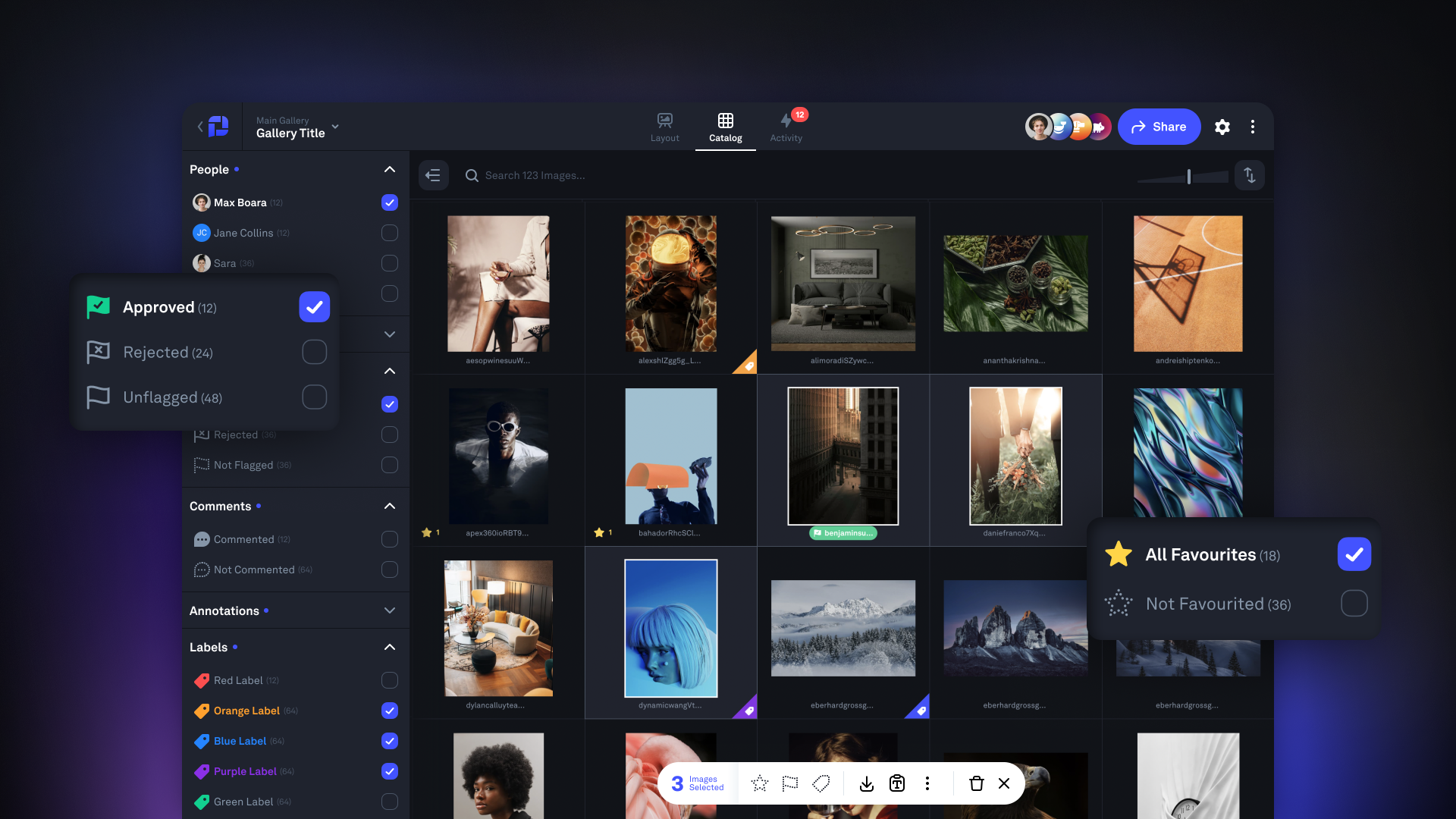 Picflow Software - 2025 Reviews, Pricing & Demo