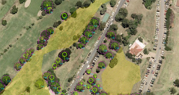 ArborCAD Cost & Reviews - Capterra Australia 2023