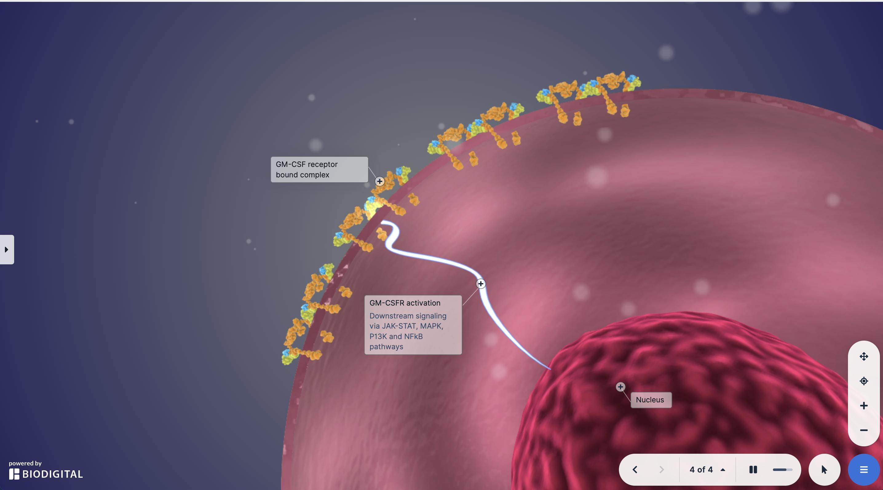 BioDigital Pricing, Alternatives & More 2022 - Capterra