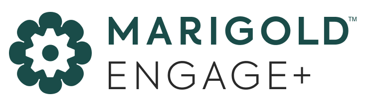 Cheetah Digital by Marigold Software - 2025 Reviews, Pricing & Demo