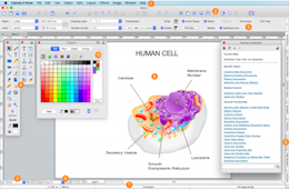 Canvas X Draw Software Reviews Demo Pricing 2024