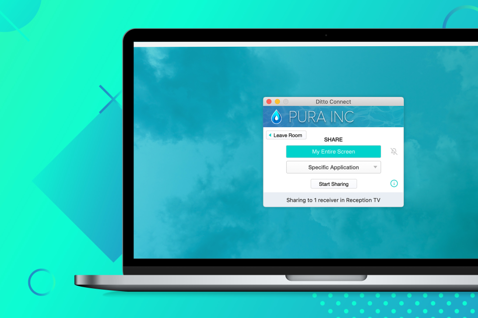 Ditto Cost & Reviews - Capterra Australia 2025