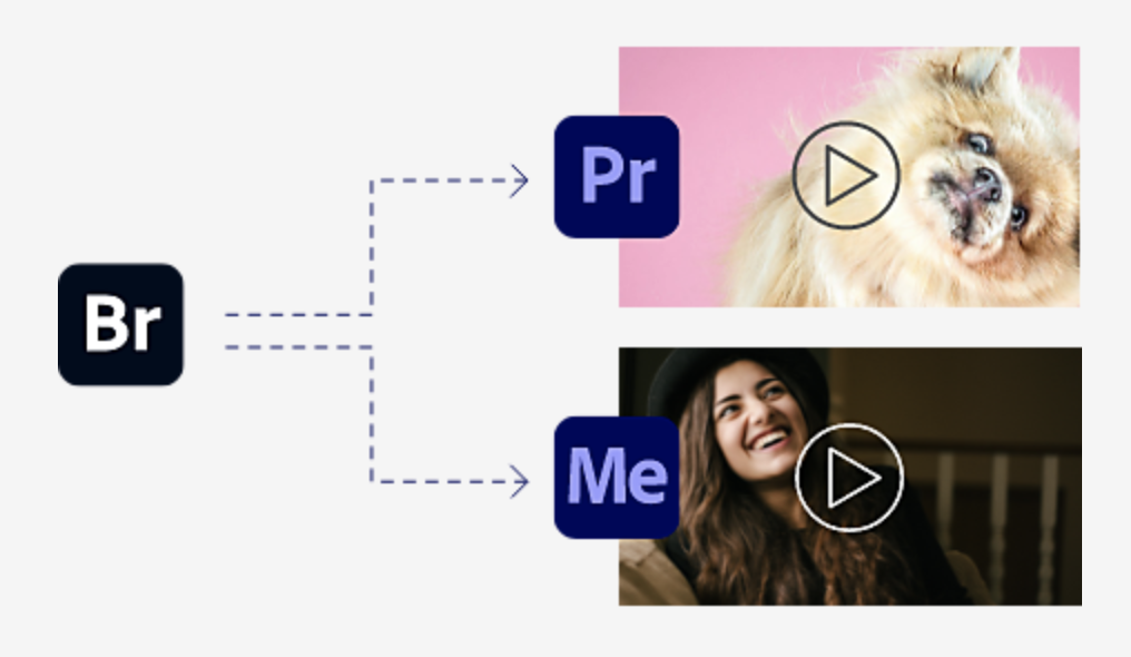 Adobe Bridge Software - 2024 Reviews, Pricing & Demo