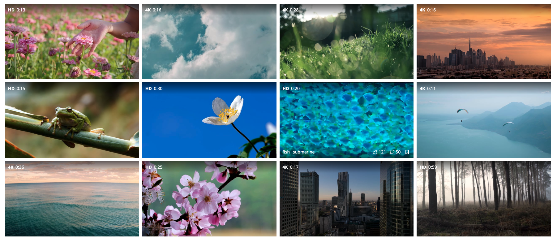 Pixabay Software - 2025 Reviews, Pricing & Demo