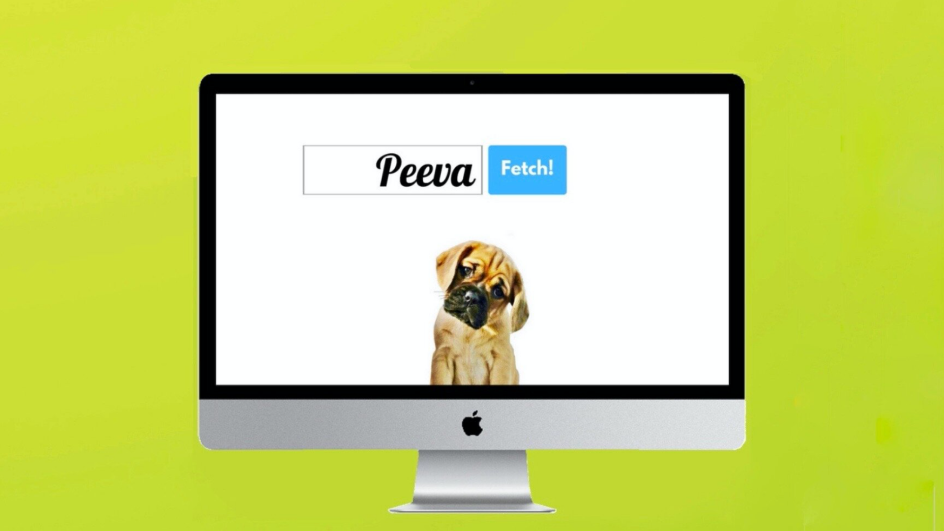 Peeva Pricing, Alternatives & More 2025 | Capterra
