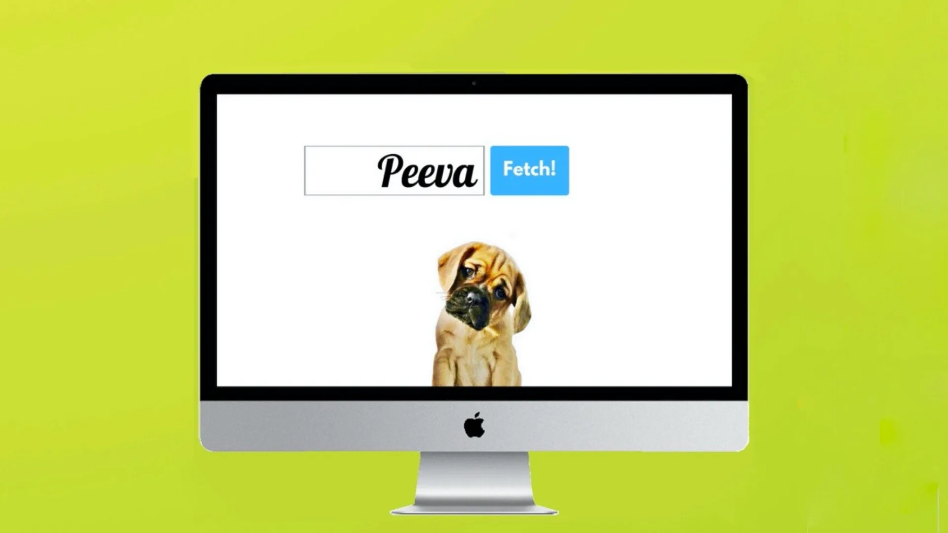 Peeva Pricing, Cost & Reviews - Capterra UK 2026