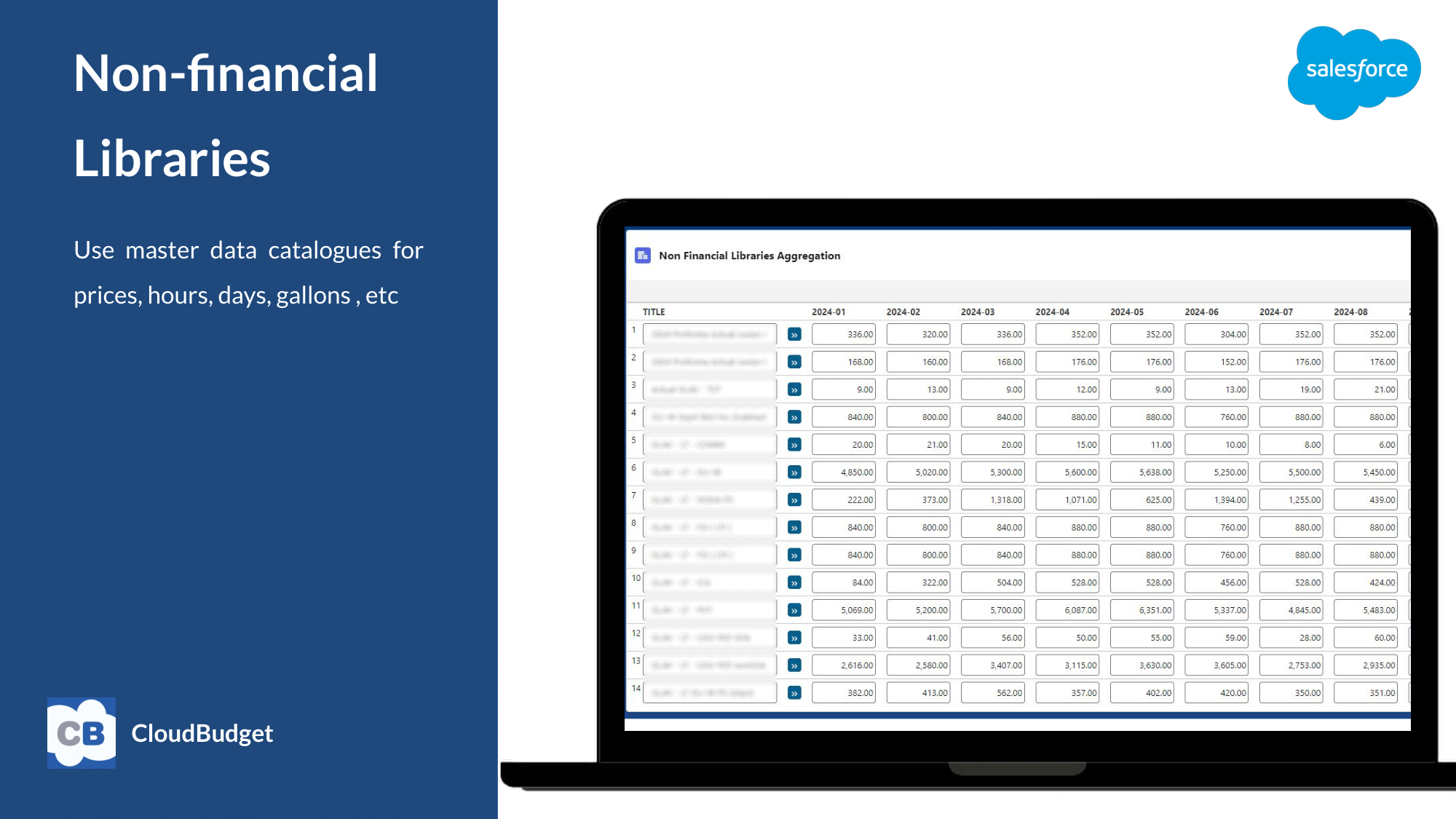 CloudBudget Software Reviews, Demo & Pricing - 2024