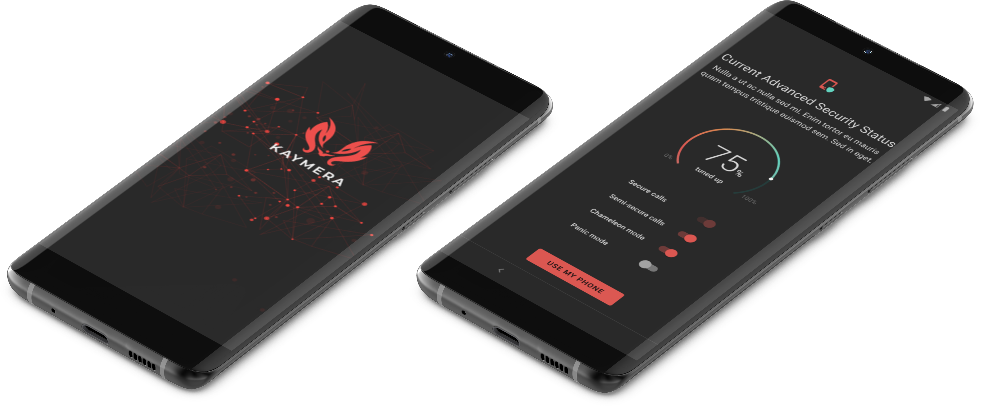 Kaymera Pricing, Alternatives & More 2025 | Capterra