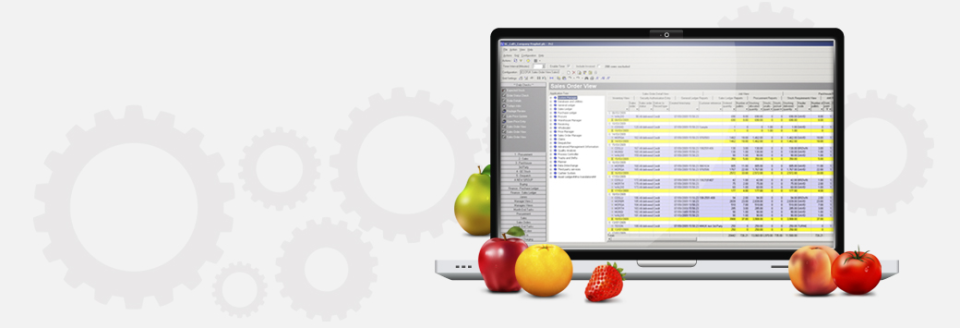 Prophet - Opiniones, precios y características - Capterra España 2025